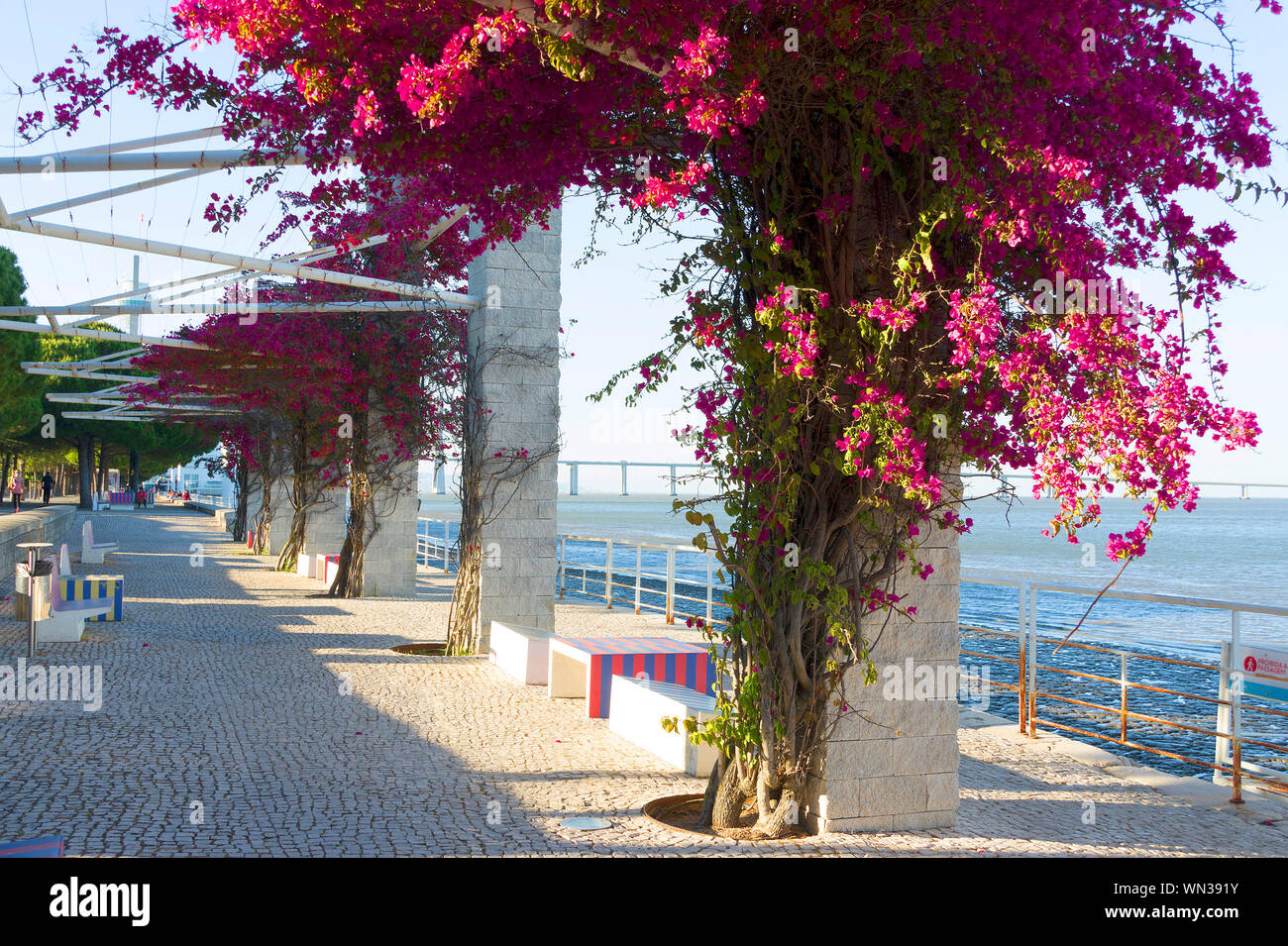 Narrow pathway hi-res stock photography and images - Alamy