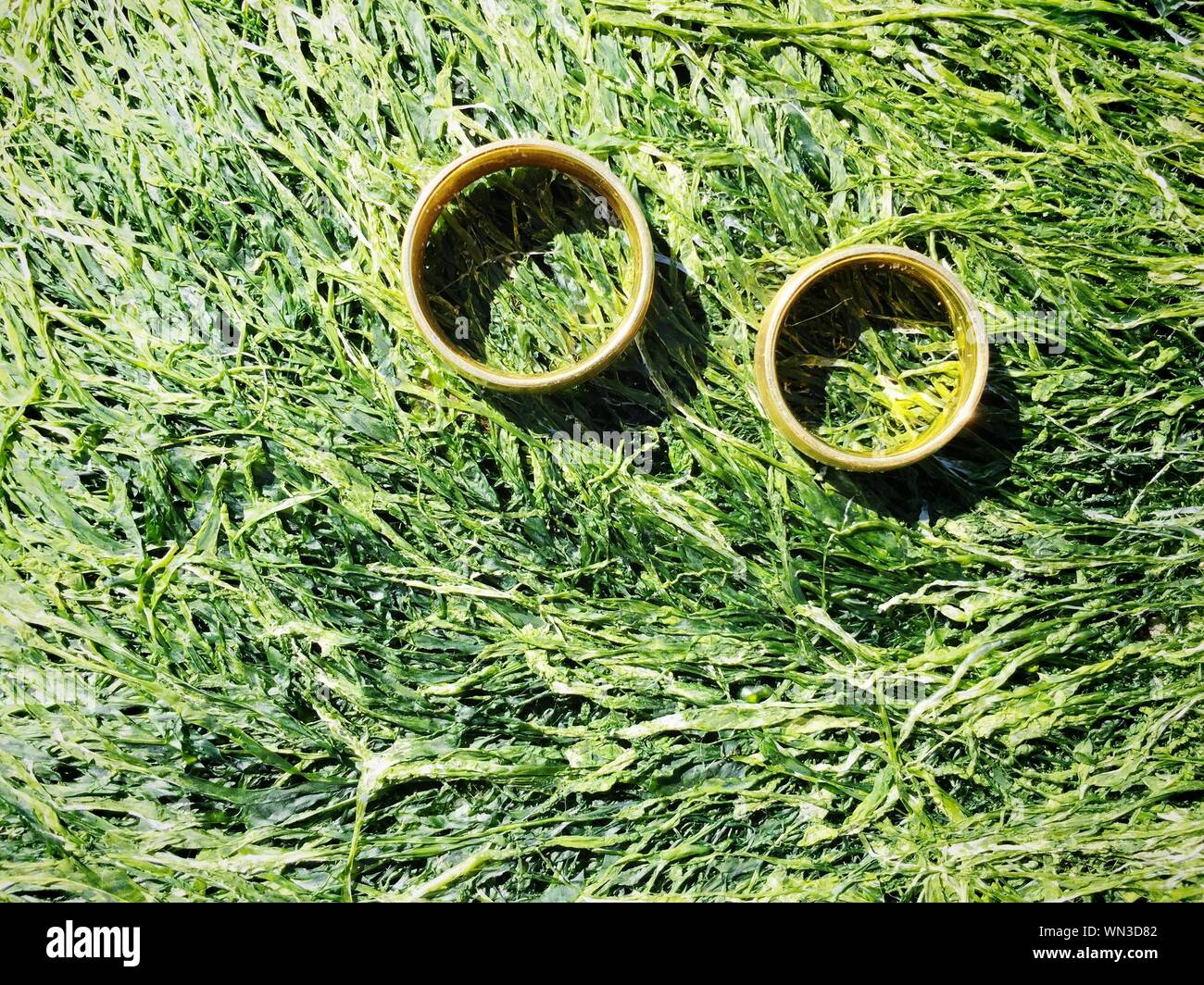 Gold wedding ring grass hi-res stock photography and images - Alamy