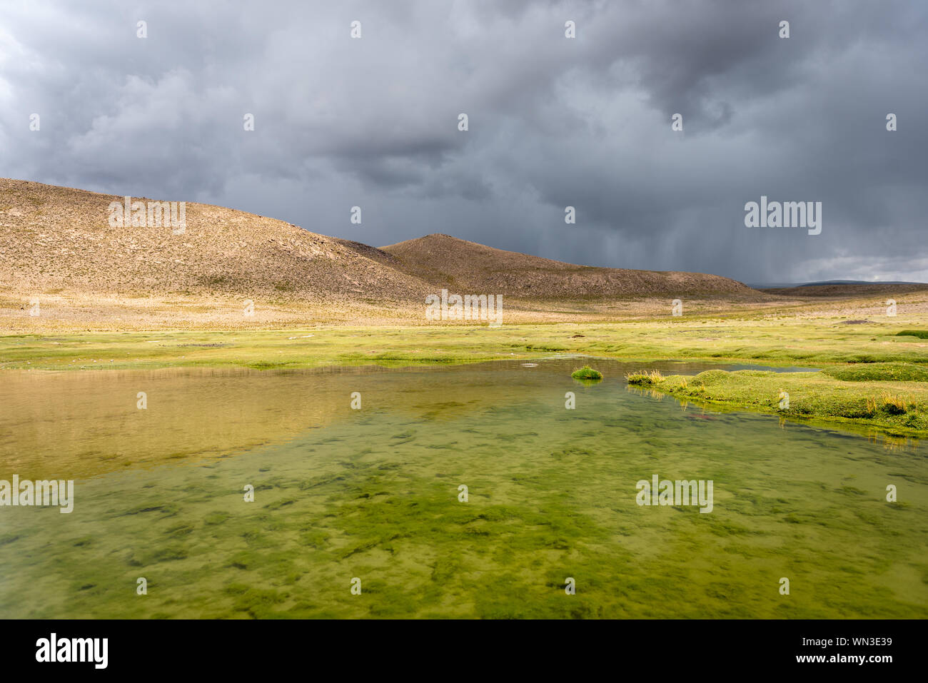 The wetlands of Peru Stock Photo - Alamy