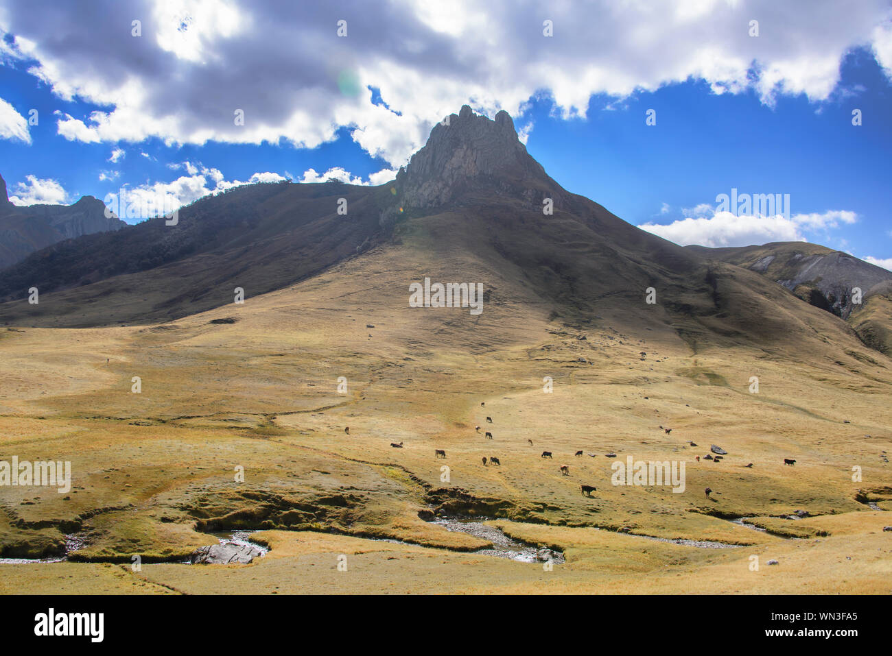 Sceneries on the Cordillera Huayhuash, Peru Stock Photo - Alamy