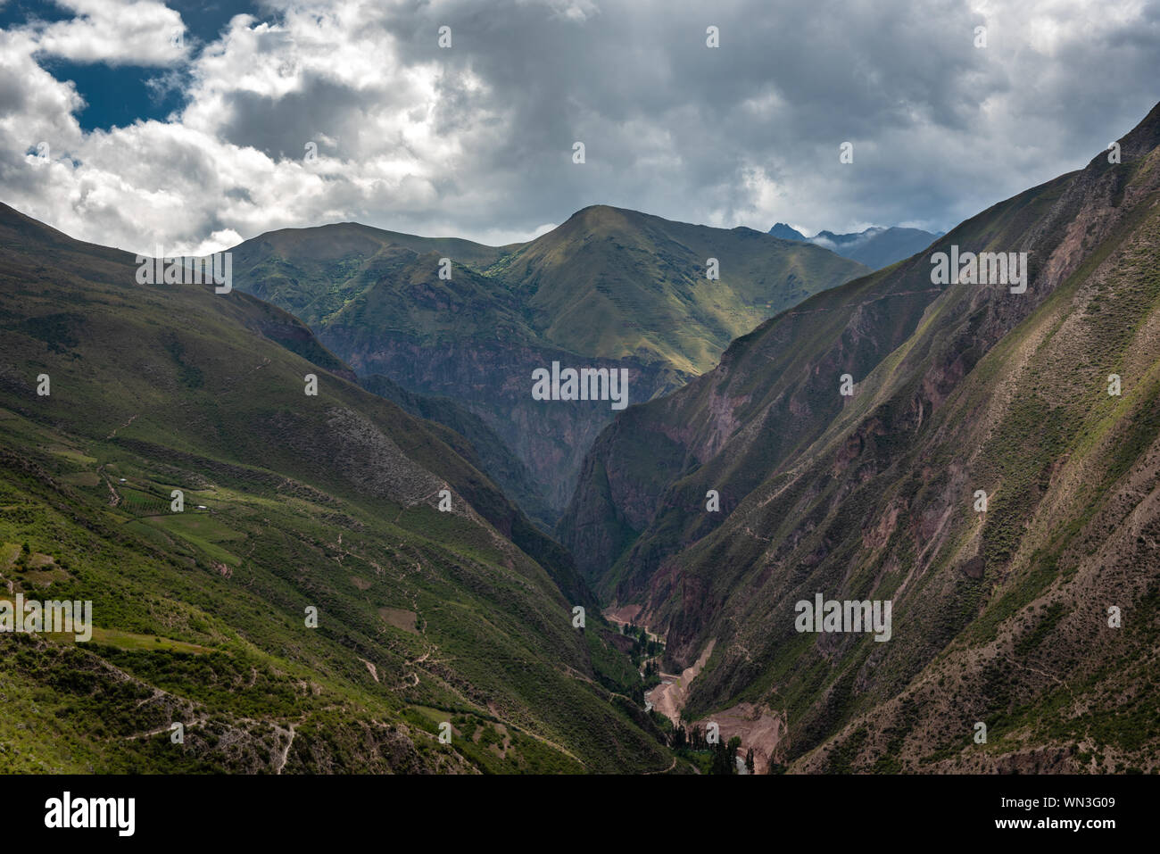 Deep within the forest hi-res stock photography and images - Alamy