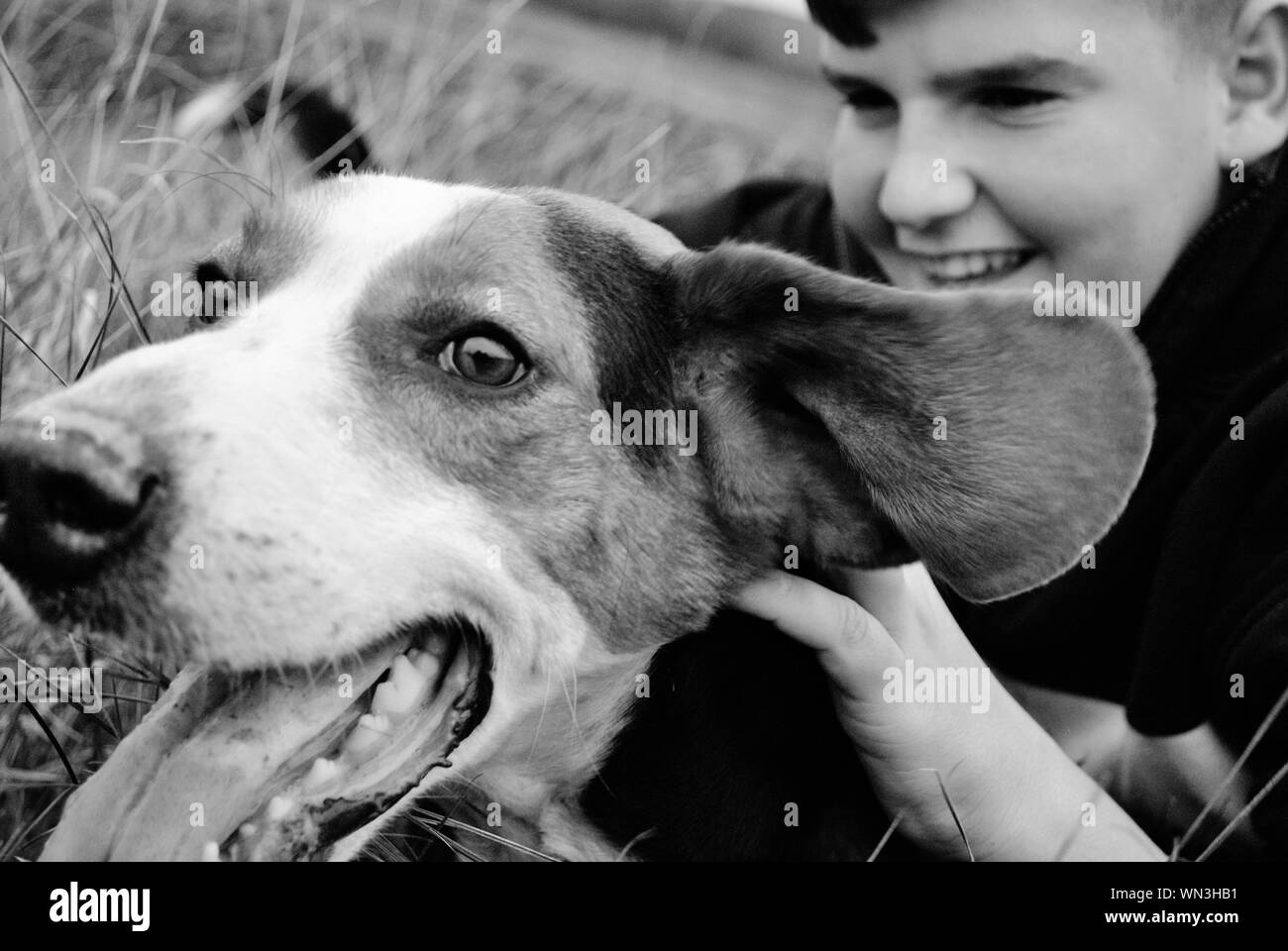 Dog with teenage boy hi-res stock photography and images - Alamy