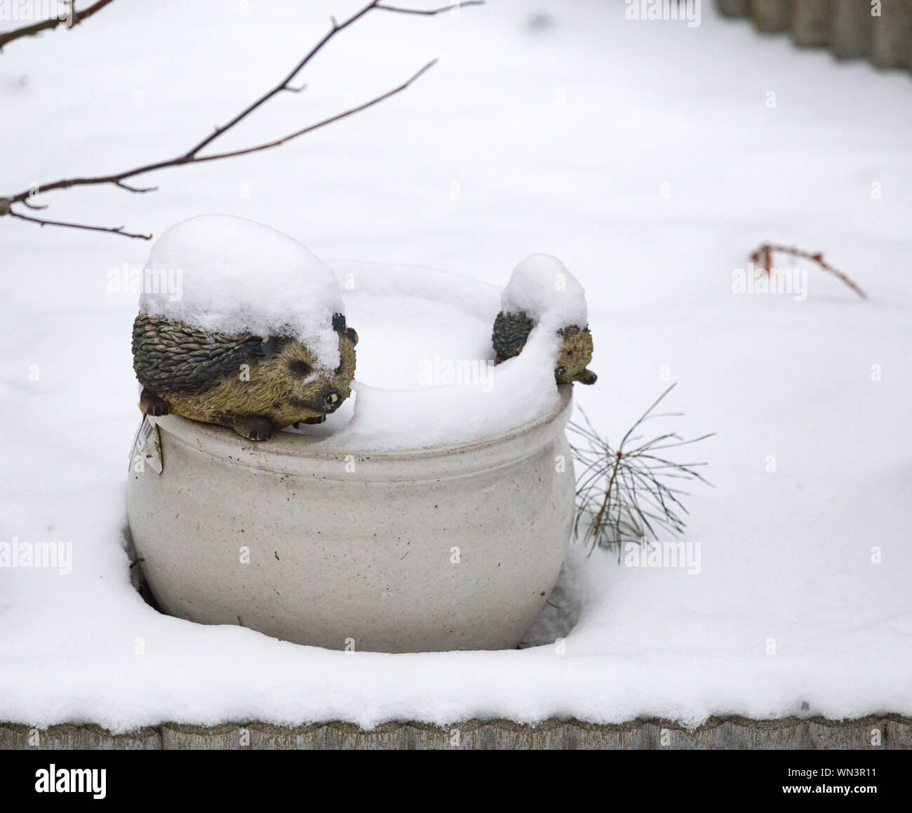 Pots Snow High Resolution Stock Photography and Images - Alamy