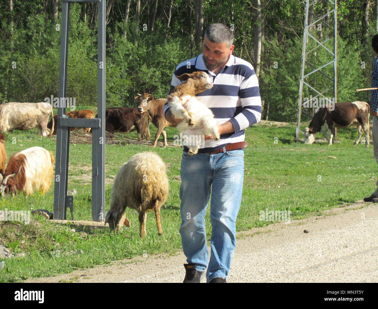 Young man holding lamb hi-res stock photography and images - Alamy