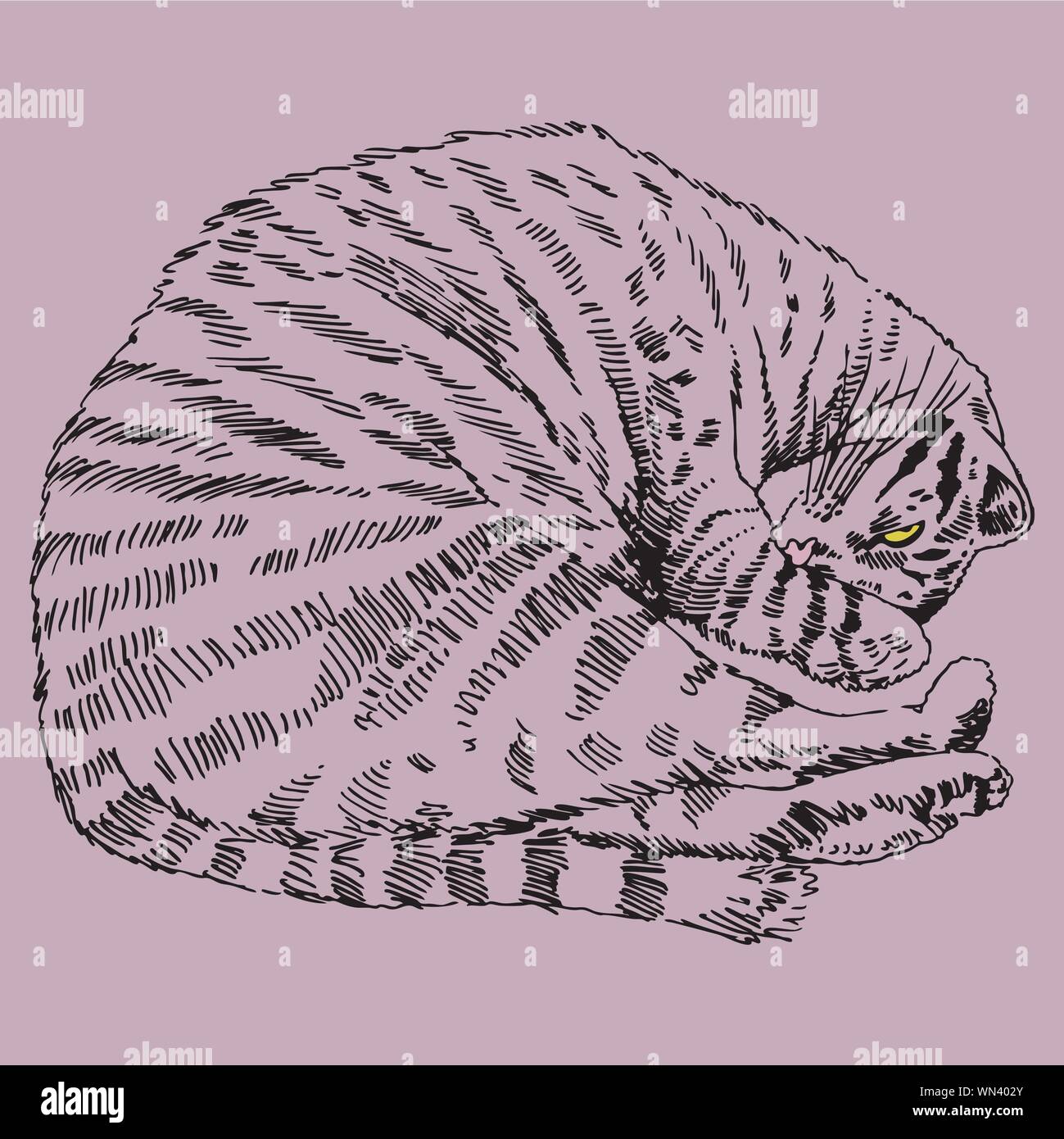 Catnap Stock Vector Images - Alamy