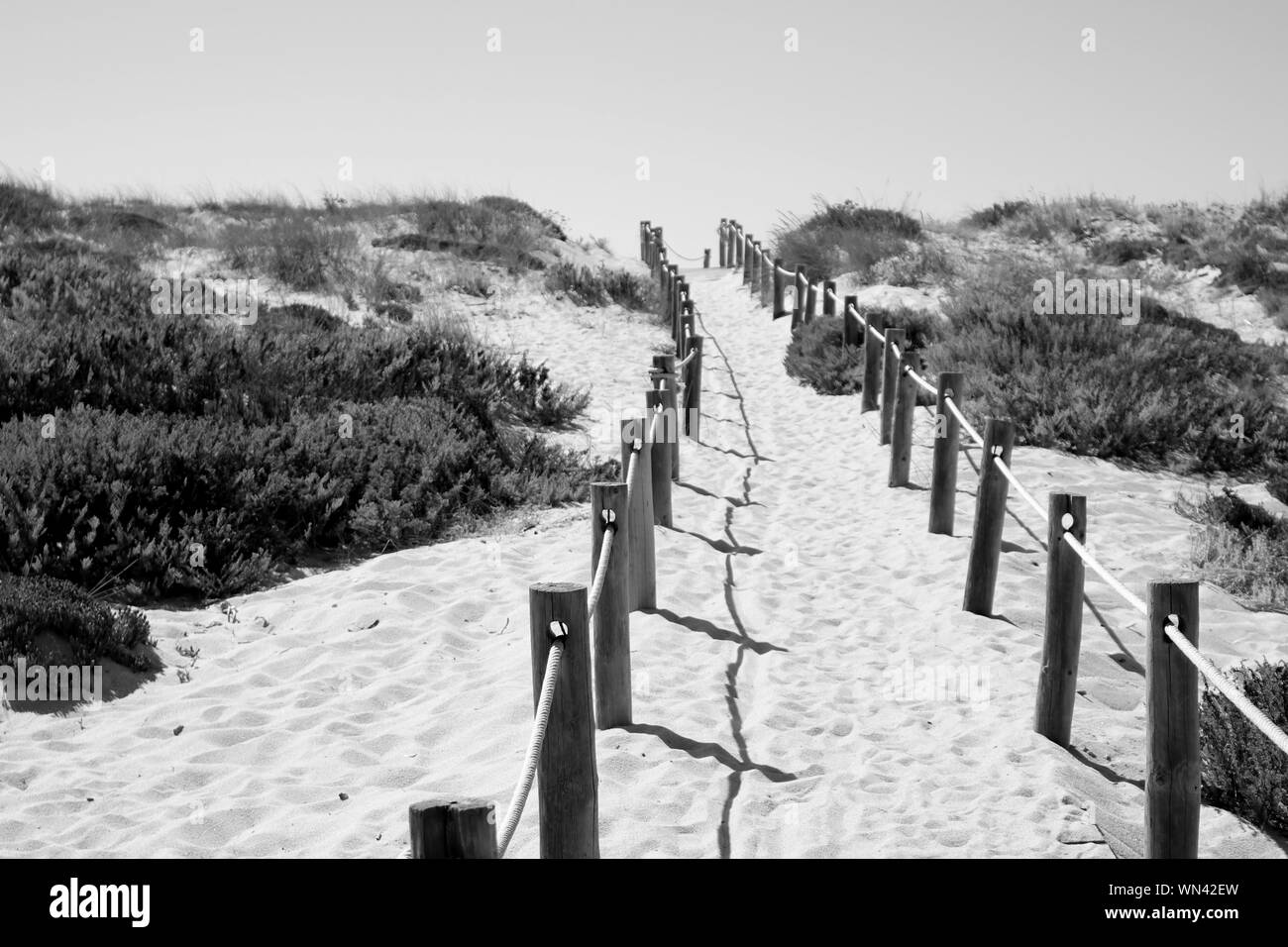 Pathway on beach hi-res stock photography and images - Alamy