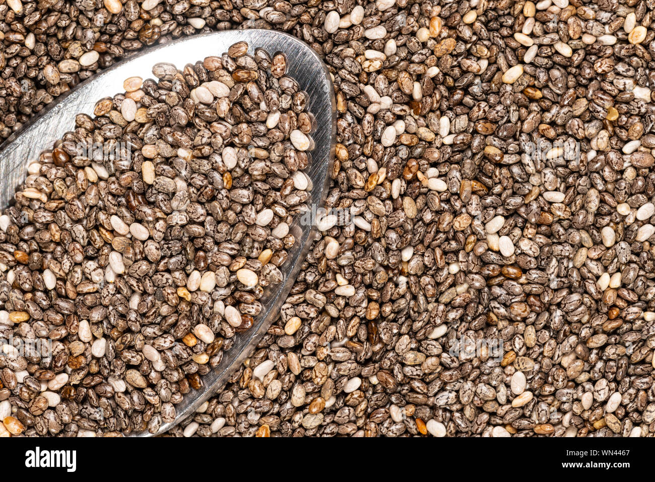 Close-up texture of a pile of chia seeds in a metal spoon with ...