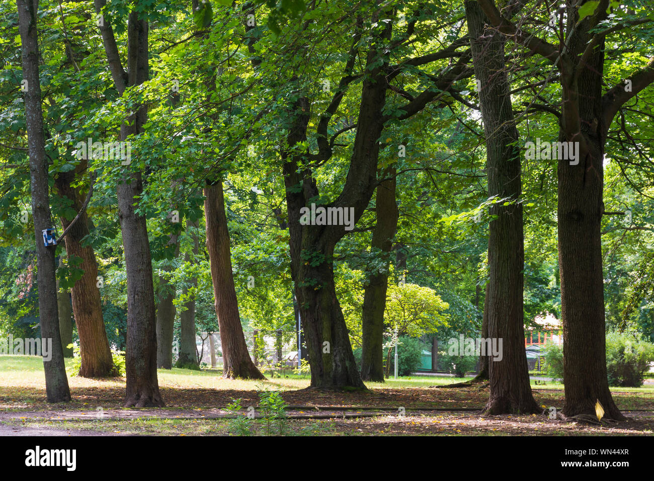 Kopli Cemetery park used to be a cemetery and now it is a park in ...