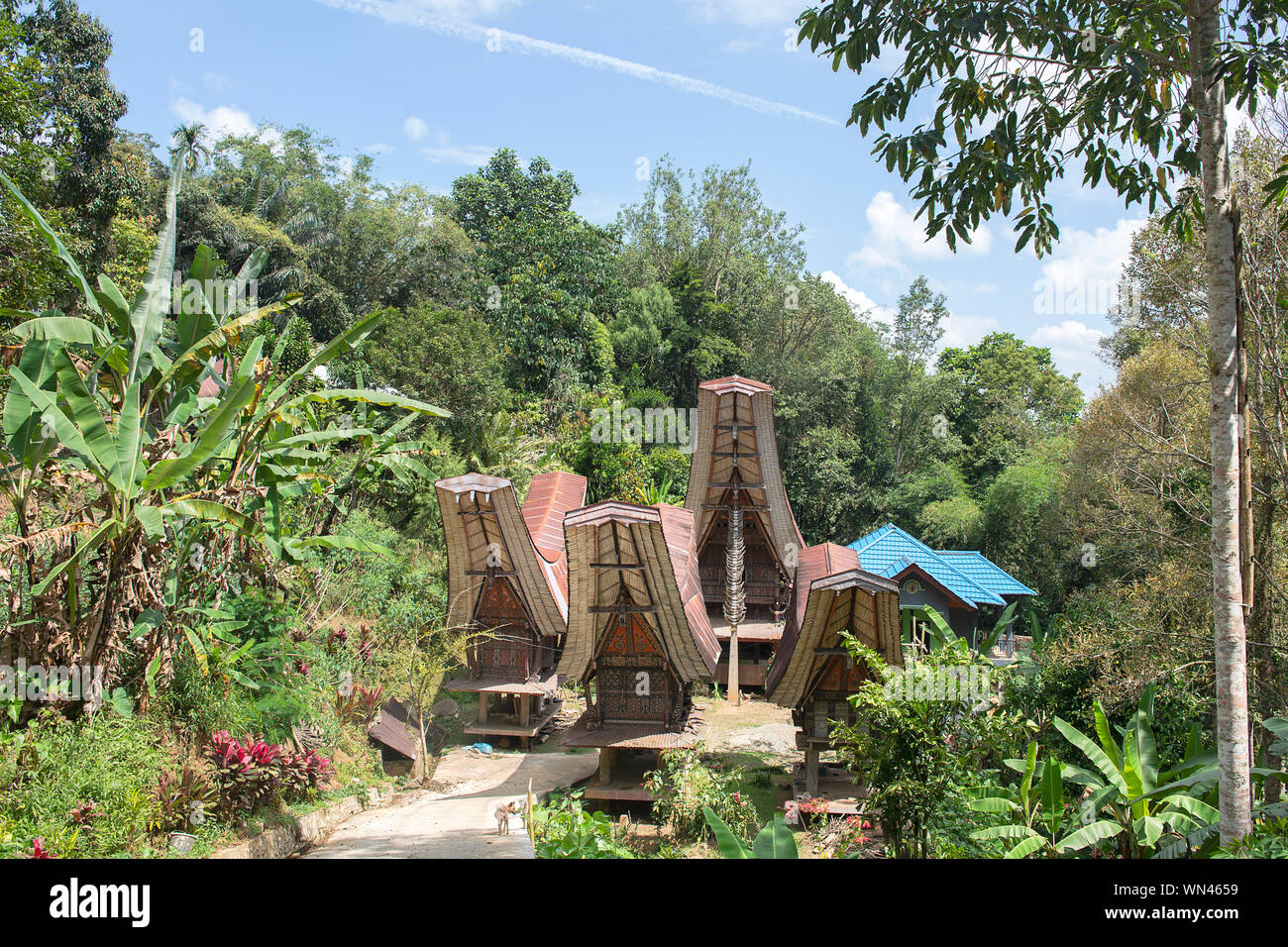 Traditional Alang rice barn, Rantepao, Tana Toraja, South Sulawesi ...