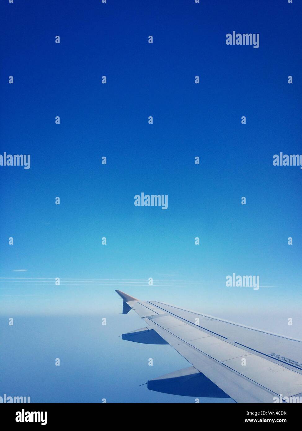 Clear wing hi-res stock photography and images - Alamy