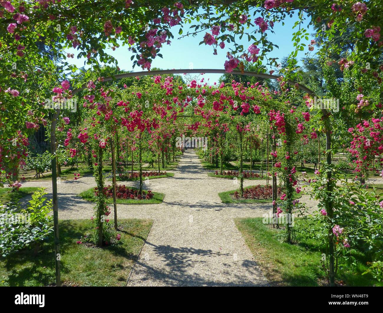 Plants covered walkway hi-res stock photography and images - Alamy