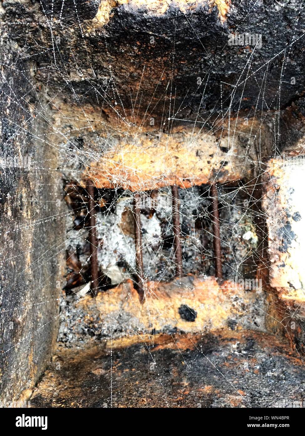 Spider Web On Ruined Wall Stock Photo - Alamy