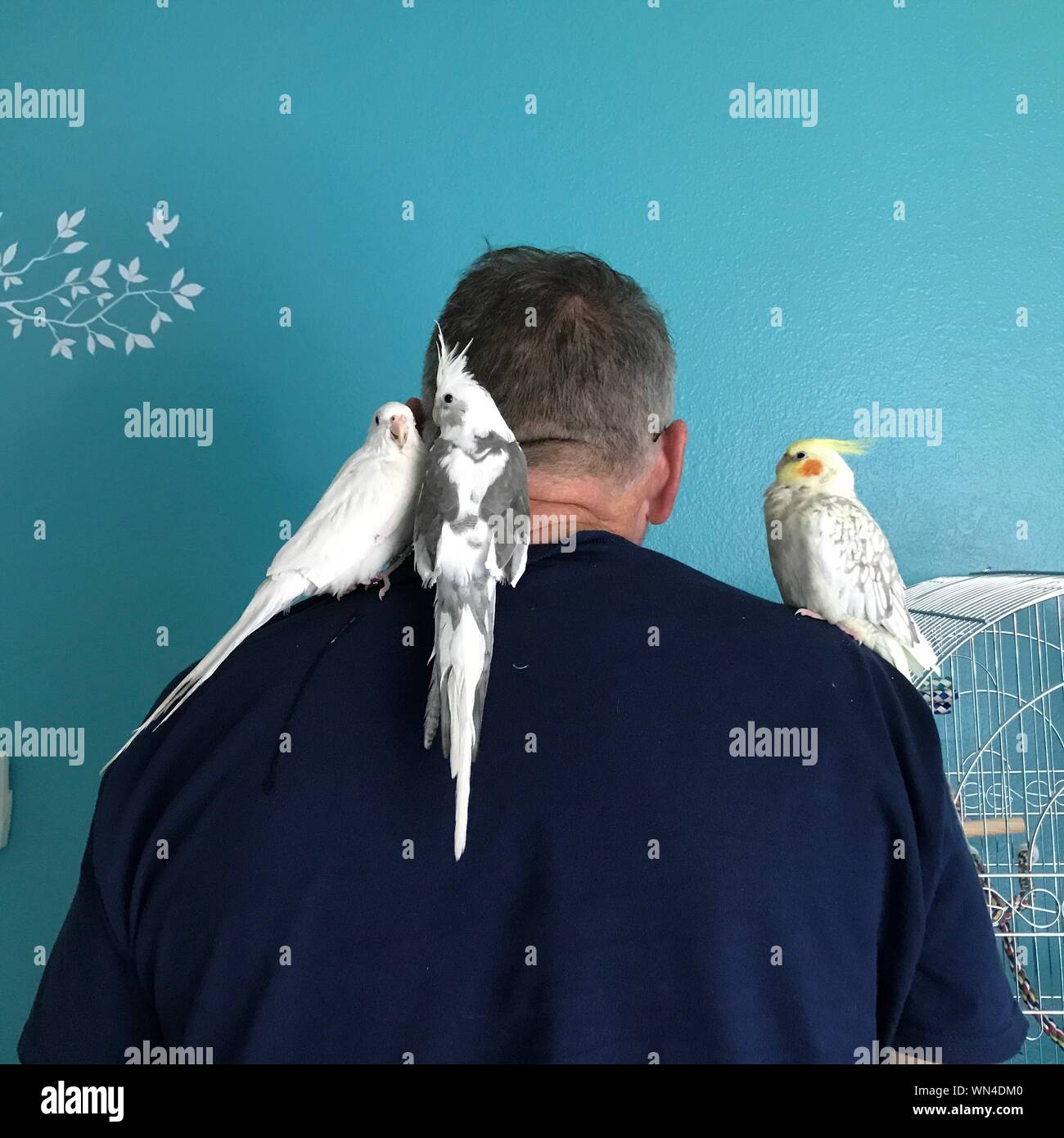 Shoulder three hi-res stock photography and images - Alamy