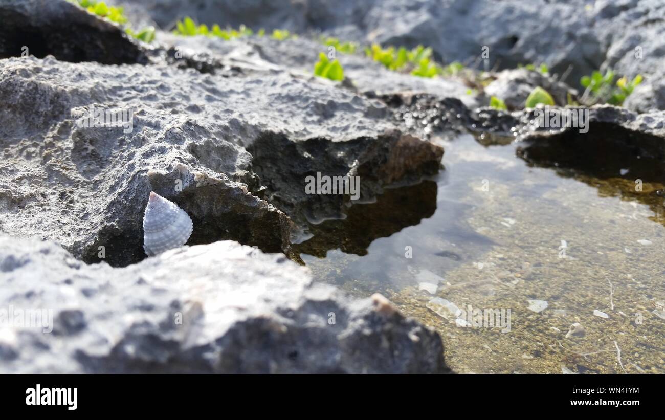 Shallow rock hi-res stock photography and images - Alamy
