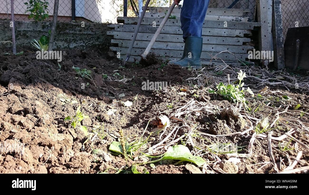 Garden hoe man hi-res stock photography and images - Alamy