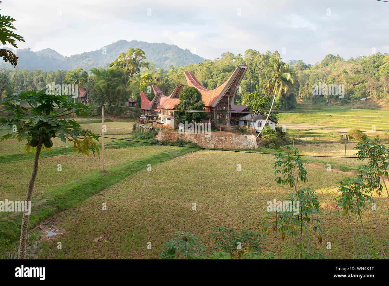 Traditional Alang rice barn, Rantepao, Tana Toraja, South Sulawesi ...