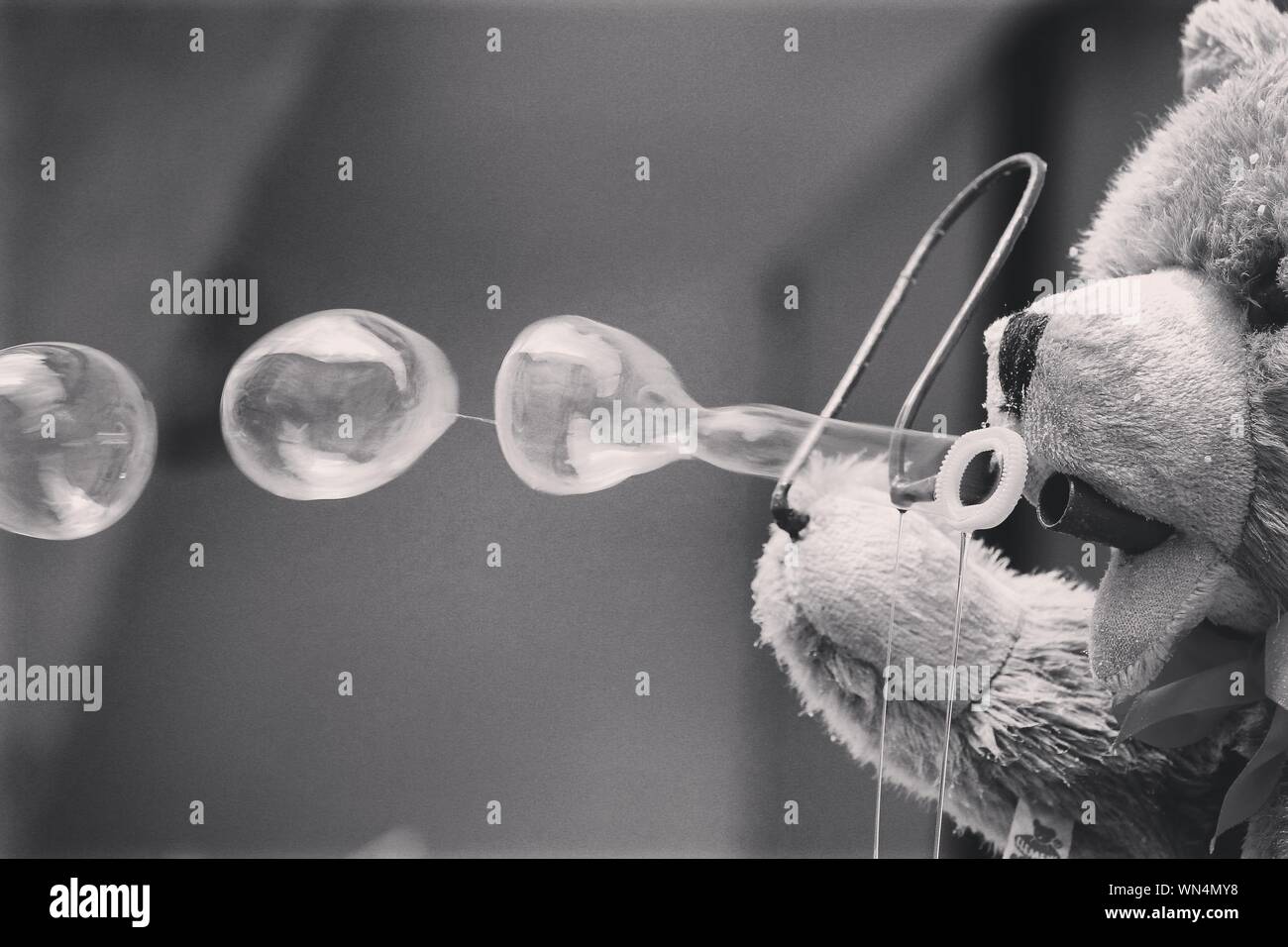 Teddy bear with bubble hi-res stock photography and images - Alamy