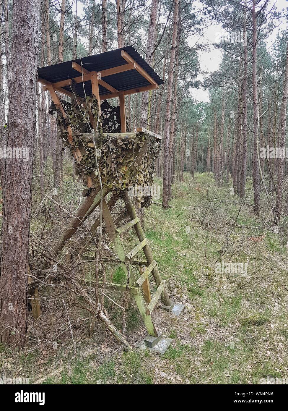 Lookout Tower And Forest High Resolution Stock Photography and Images ...