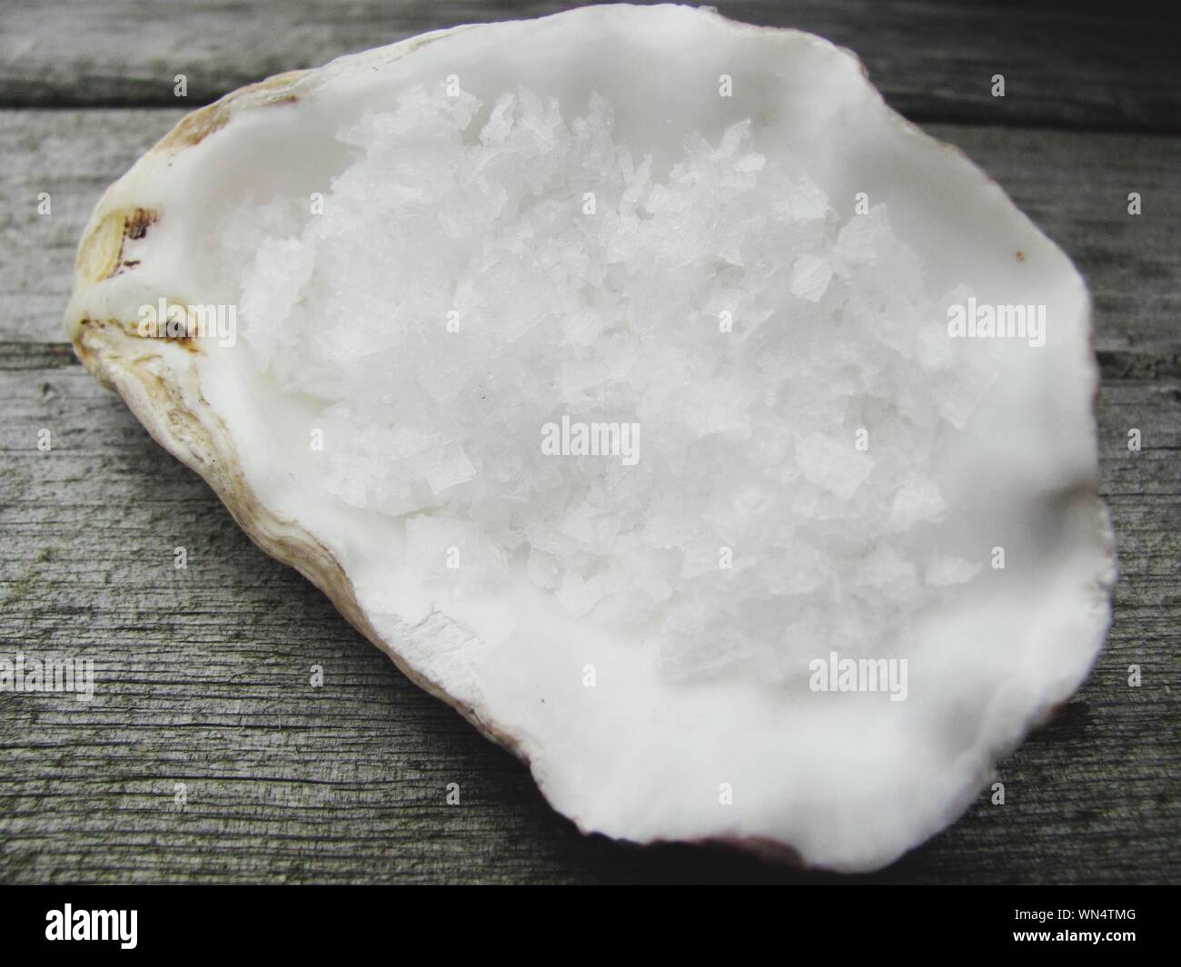 Food in shell hi-res stock photography and images - Alamy