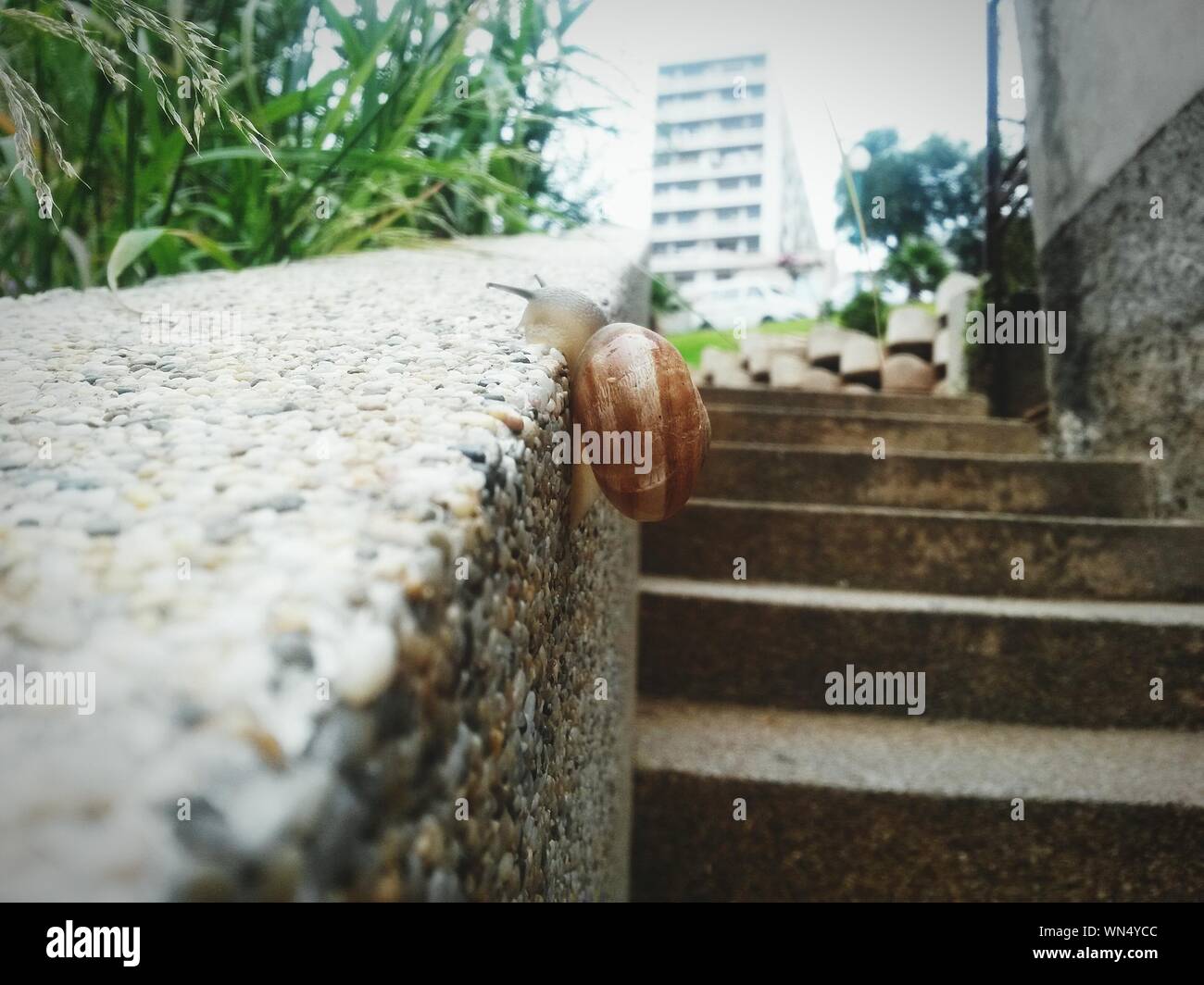 Snail stairs hi-res stock photography and images - Alamy