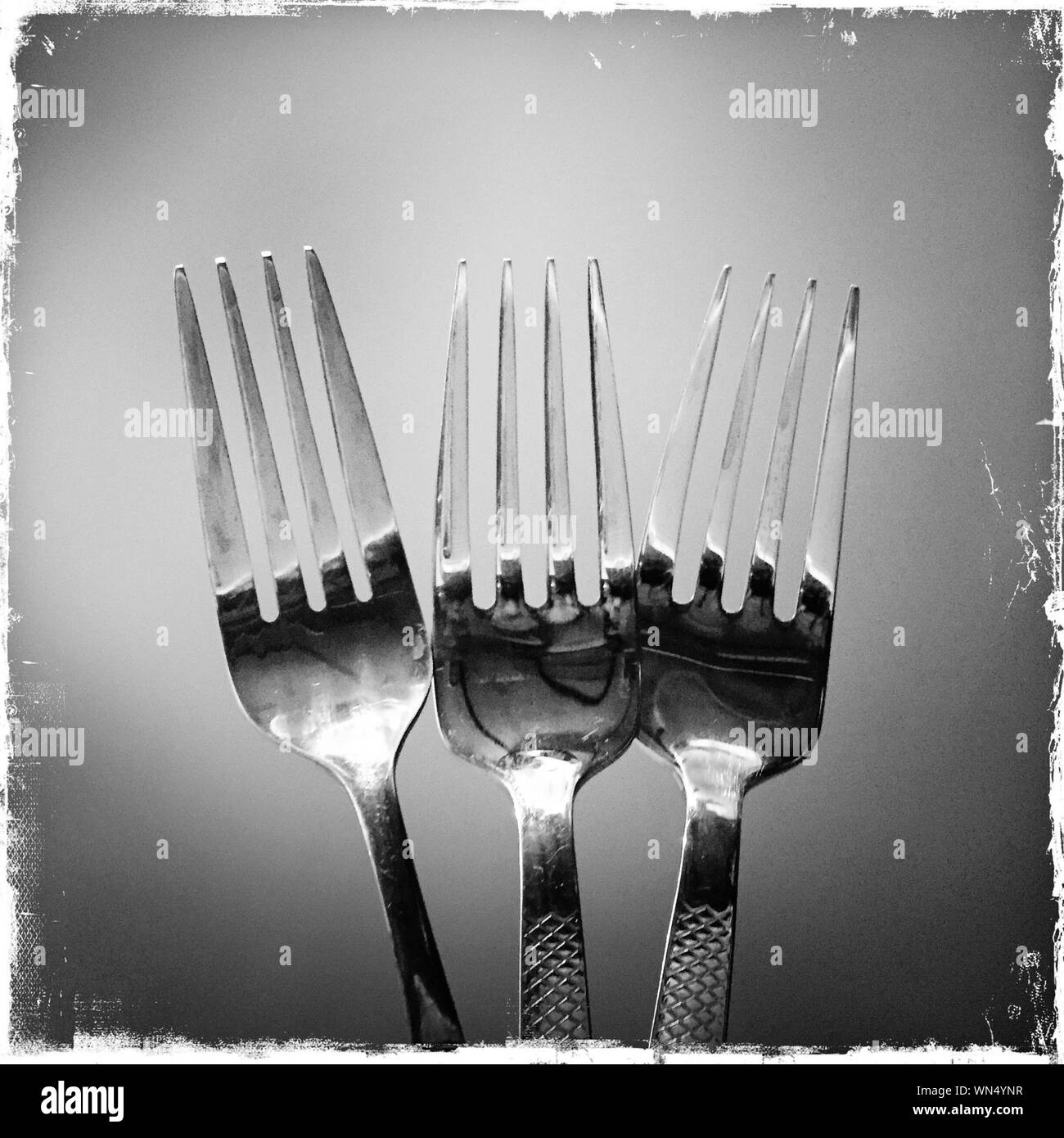 Three Forks High Resolution Stock Photography and Images - Alamy