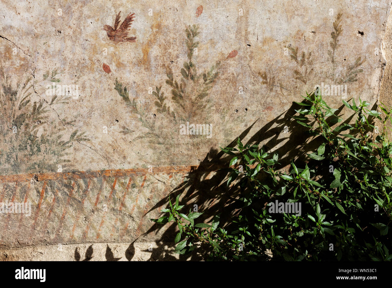 Plant graffiti hi-res stock photography and images - Alamy
