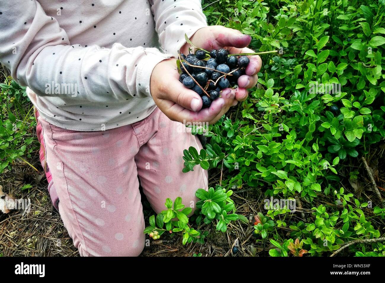 Child eating berries hi-res stock photography and images - Alamy