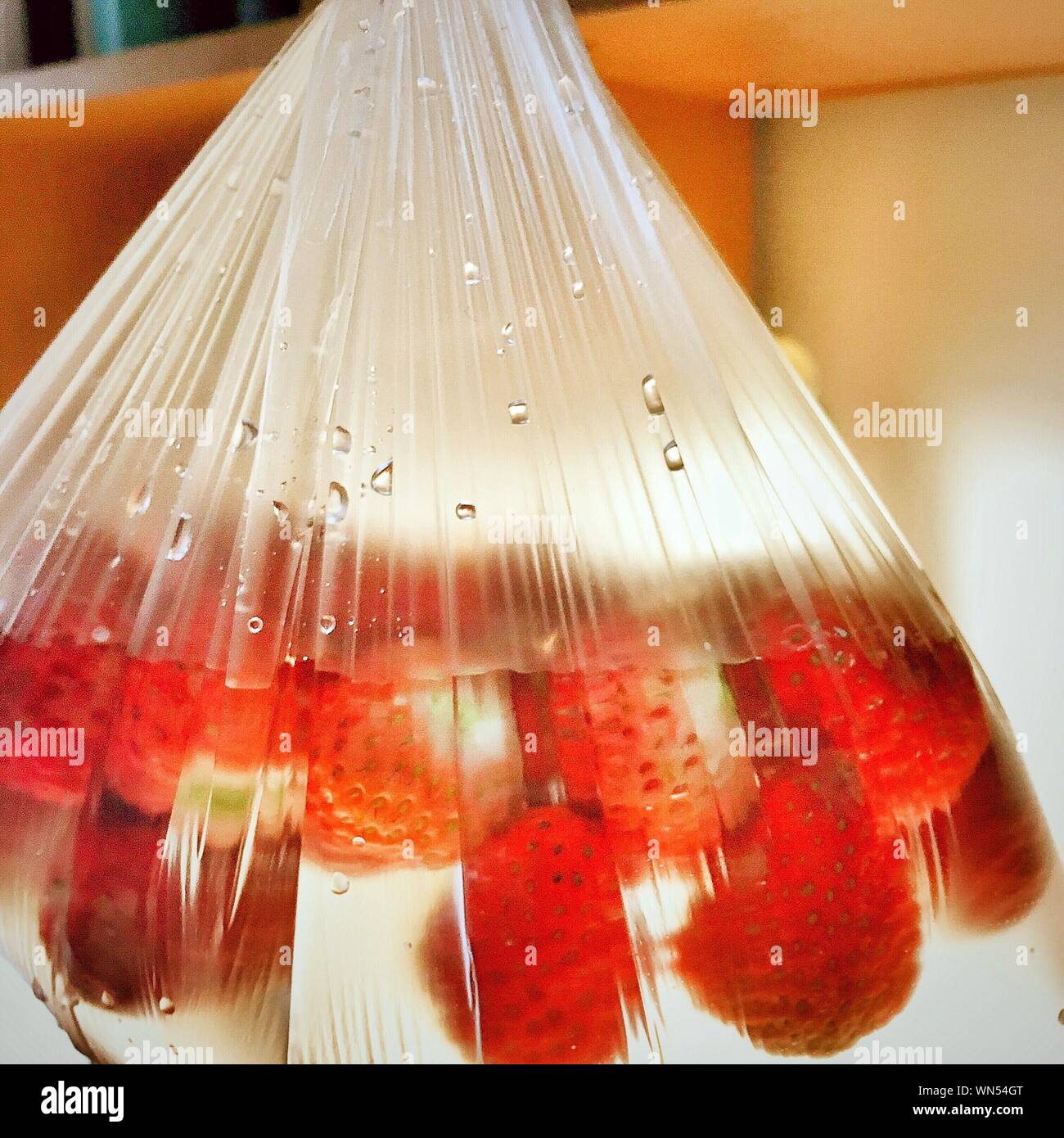 Plastic bag in the water hi-res stock photography and images - Alamy