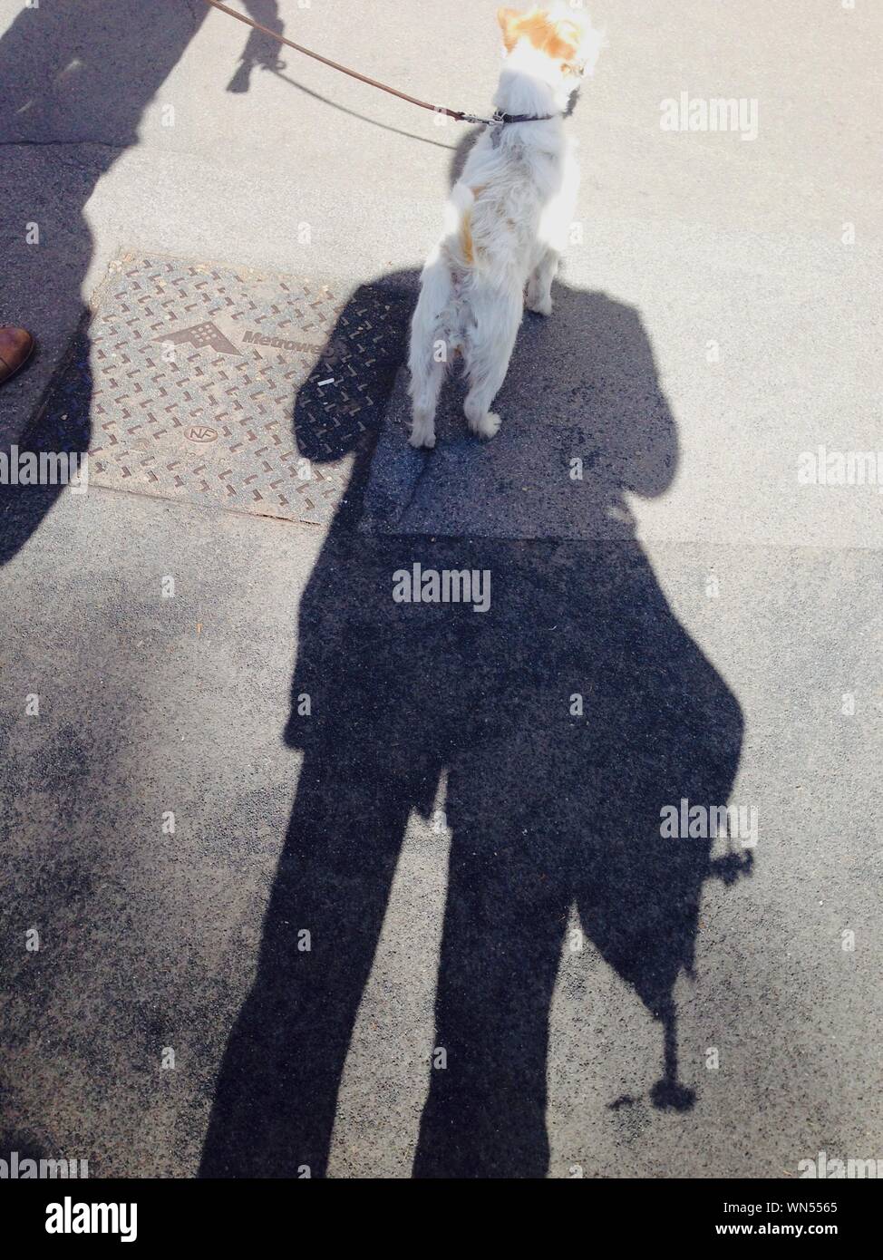 Dog On Man Shadow Stock Photo - Alamy