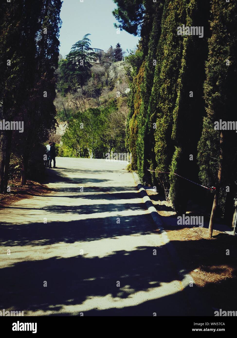 Road with trees at both sides hi-res stock photography and images - Alamy