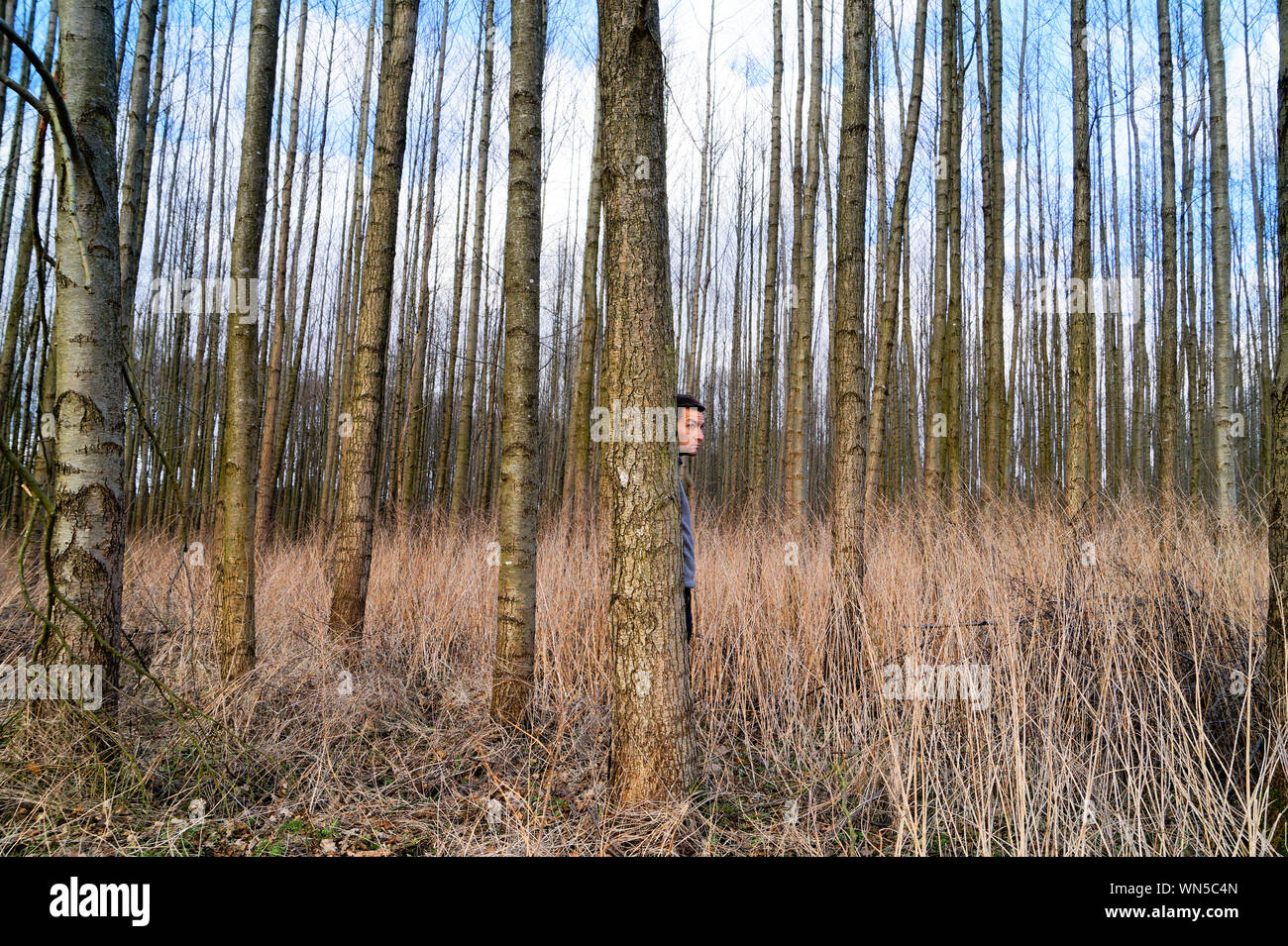 Man standing behind tree in hi-res stock photography and images - Alamy