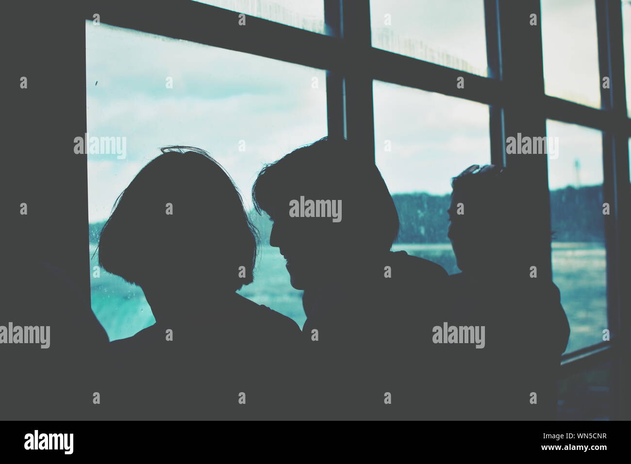 Window, silhouette, nature hi-res stock photography and images - Alamy