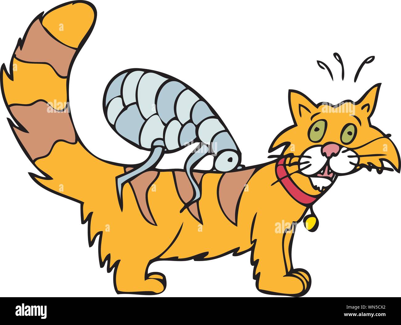 Cats With Fleas Clip Art