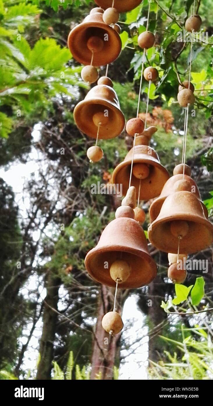 Bell hanging from tree hi-res stock photography and images - Alamy