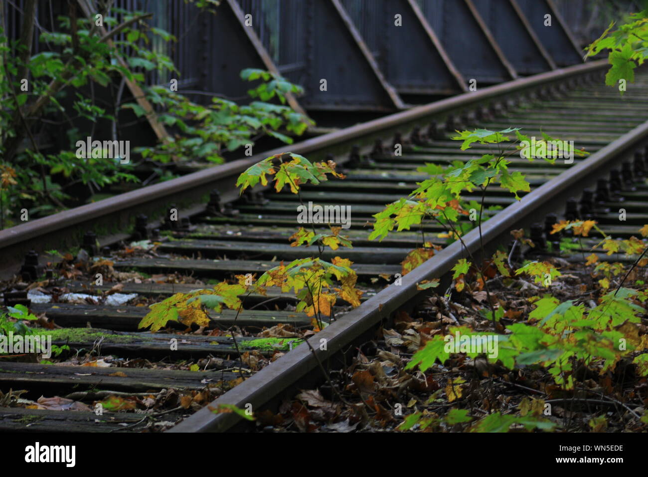 Growing On Railway High Resolution Stock Photography and Images - Alamy