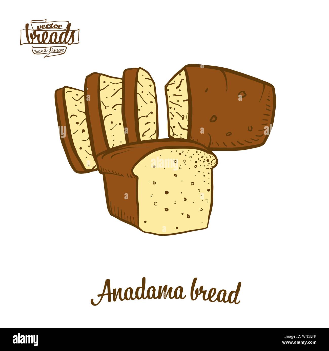 Colored drawing of Anadama bread bread. Vector illustration of Yeast ...