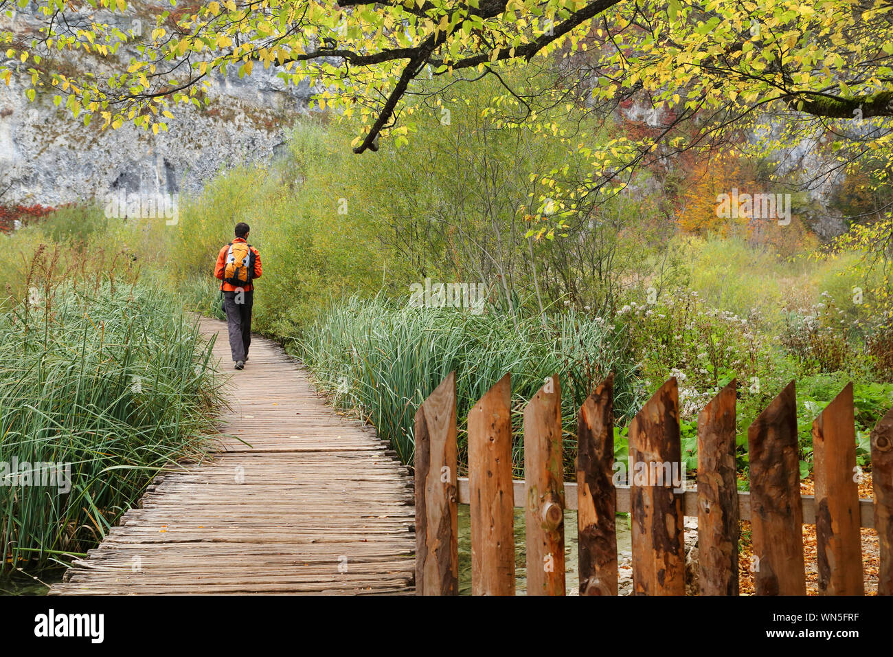 Man walking park hi-res stock photography and images - Alamy