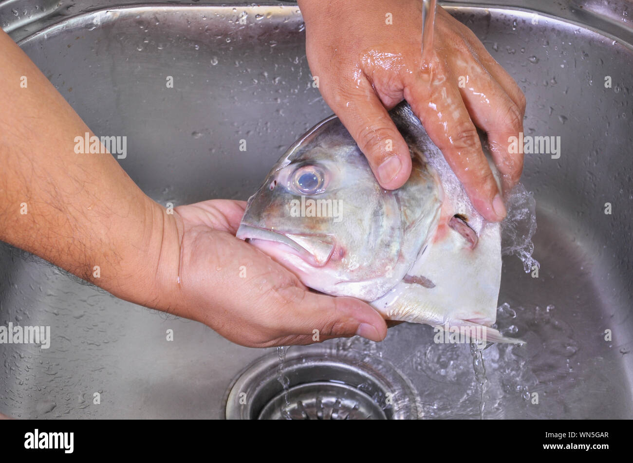 Fish preparation sink hi-res stock photography and images - Alamy