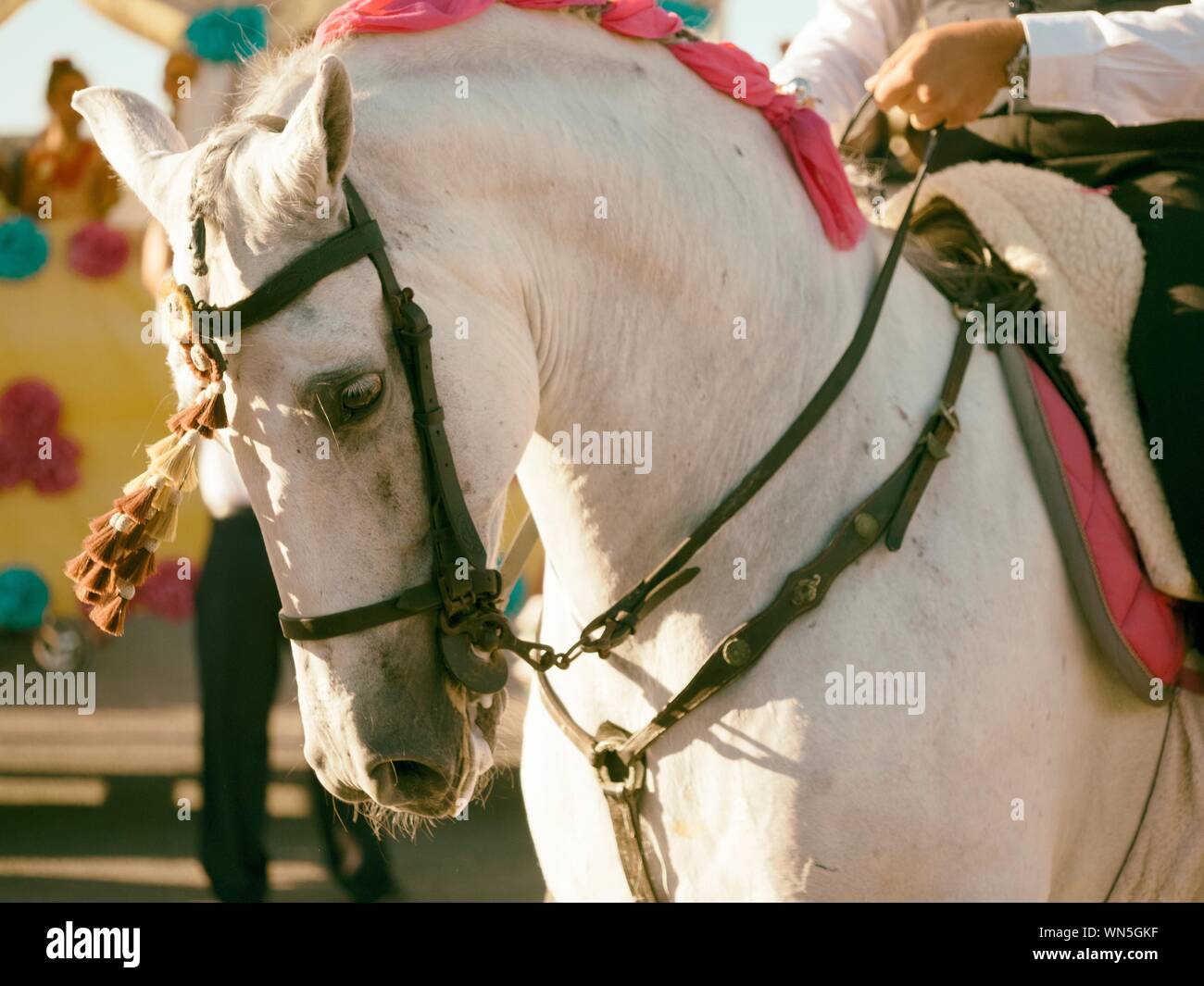 Man riding white horse hi-res stock photography and images - Alamy