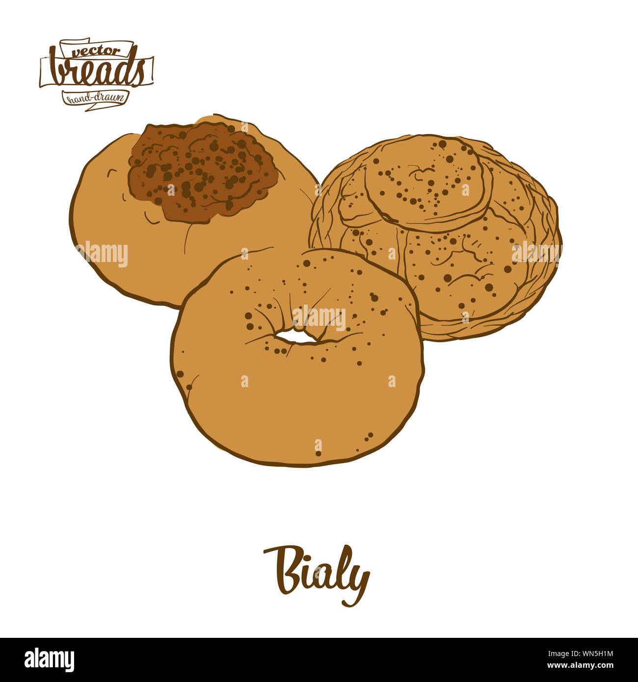 Colored drawing of Bialy bread. Vector illustration of Yeast bread food ...