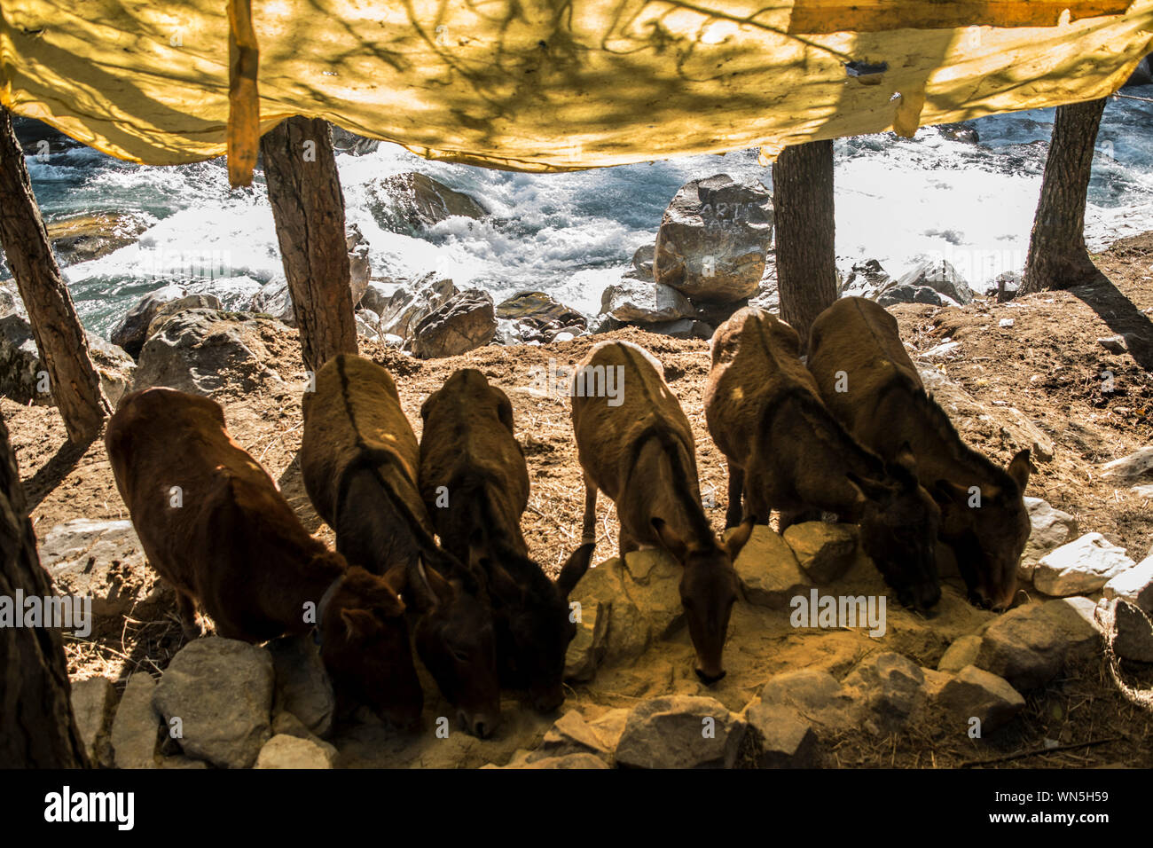 Donkey Shed High Resolution Stock Photography and Images - Alamy