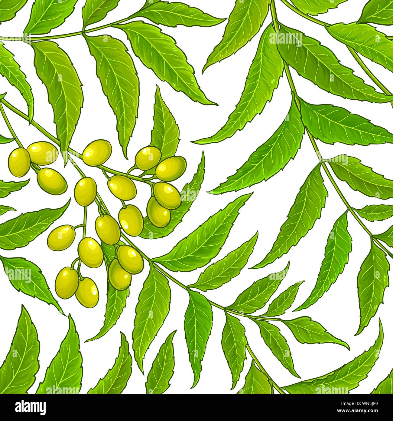 Green neem tree Stock Vector Images - Alamy