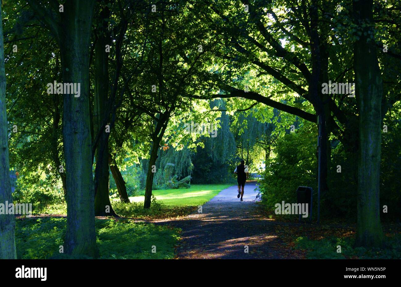 Running pathway hi-res stock photography and images - Alamy