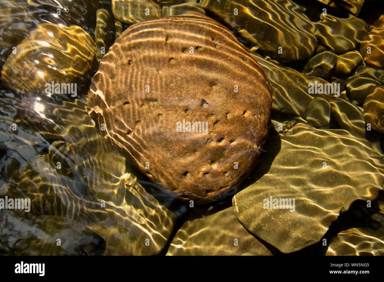 Water magnification hi-res stock photography and images - Alamy