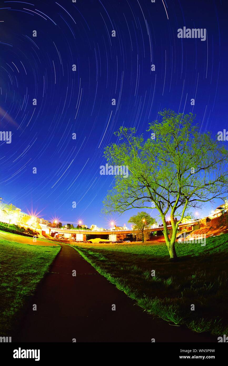 Star fish eye hi-res stock photography and images - Alamy