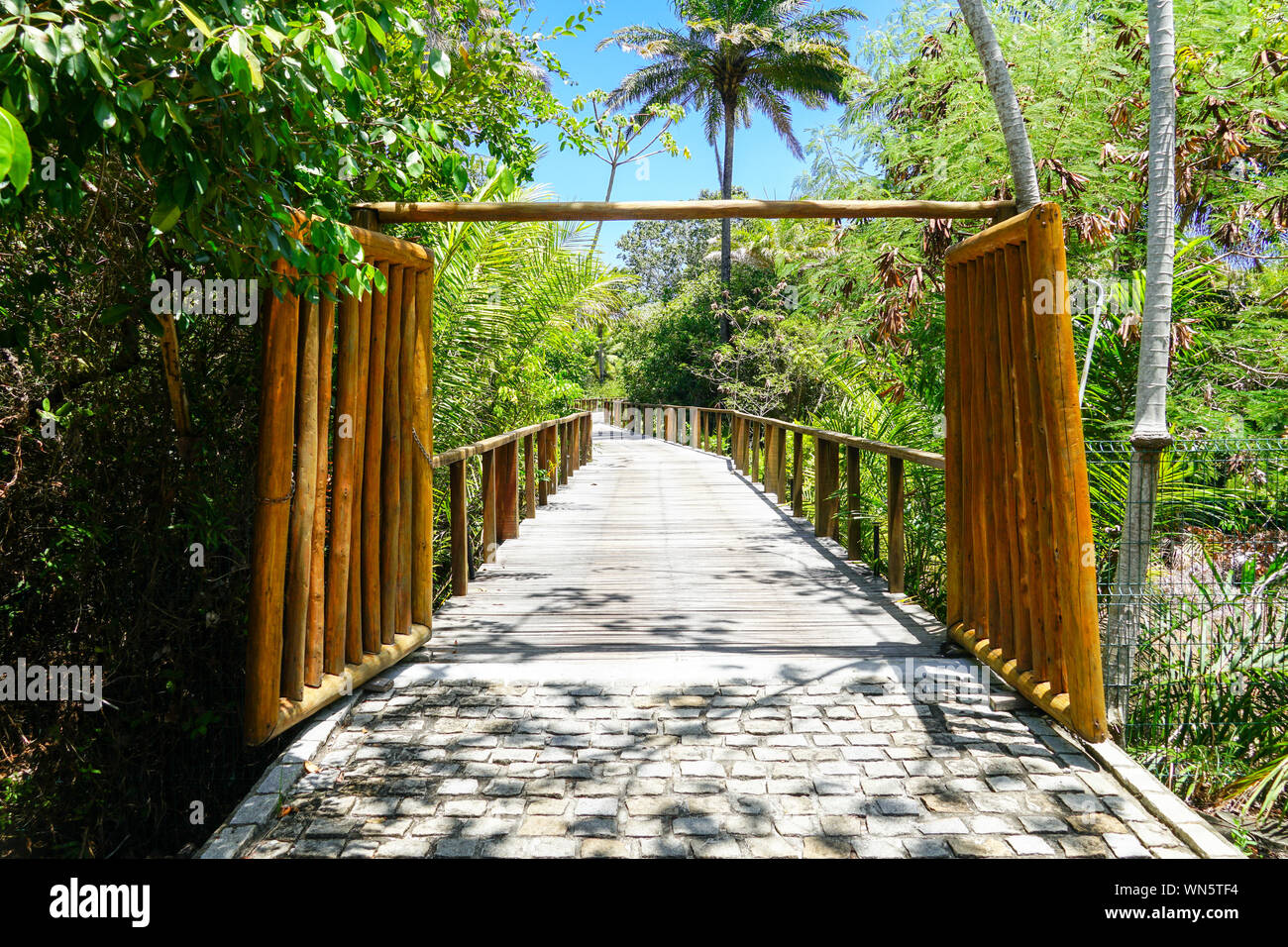 Perspective of wood bridge in deep tropical forest. Wooden bridge ...