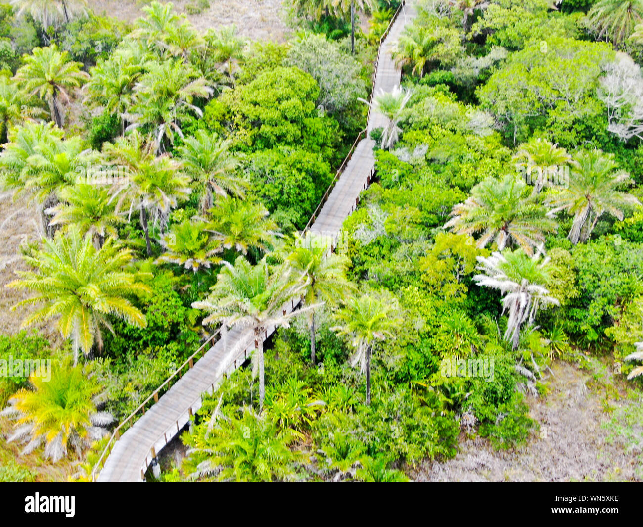 Aerial view of wooded bridge over the tropical forest. Wooden bridge ...