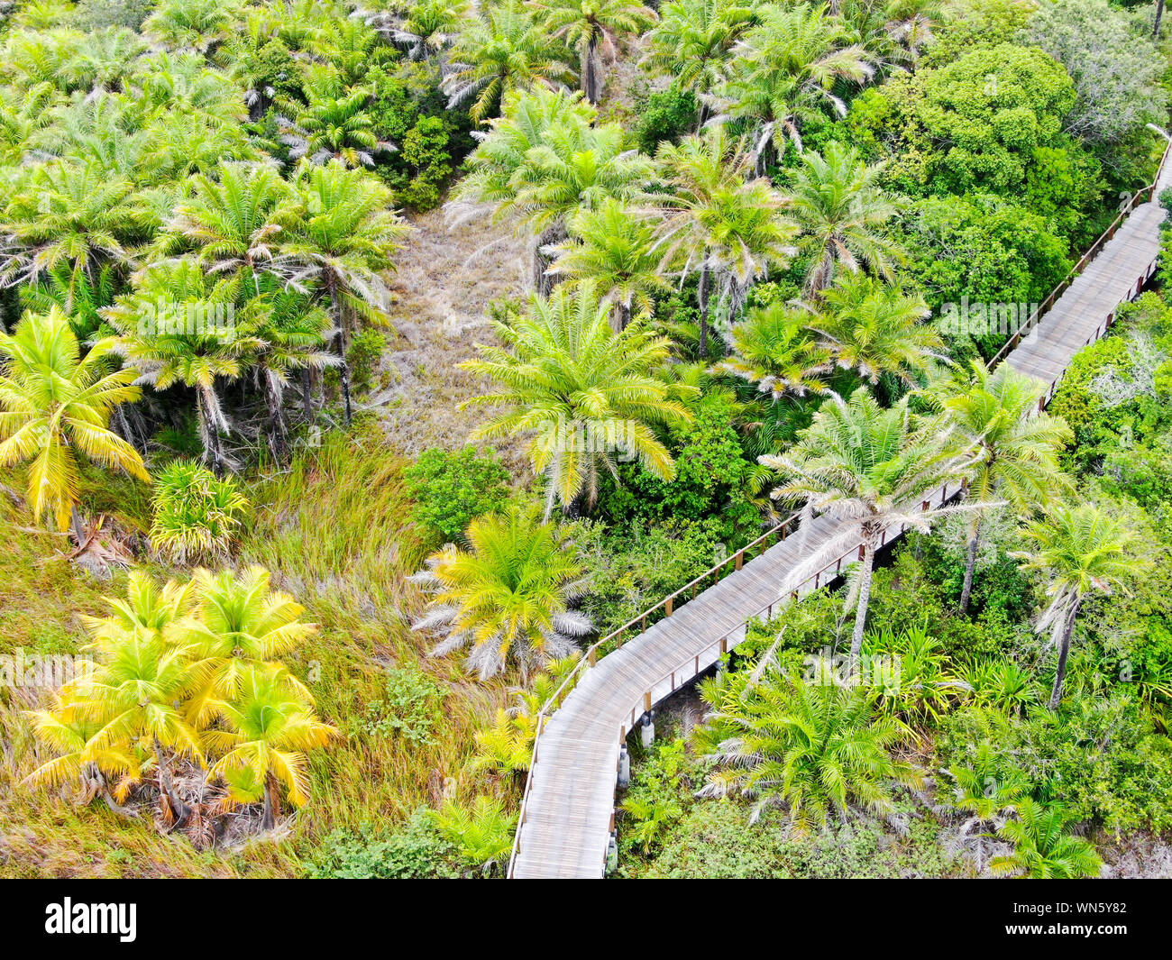 Aerial view of wooded bridge over the tropical forest. Wooden bridge ...