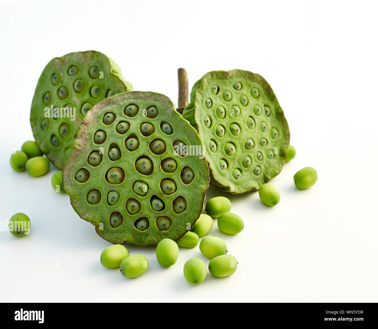 Green lotus seed pods hi-res stock photography and images - Alamy