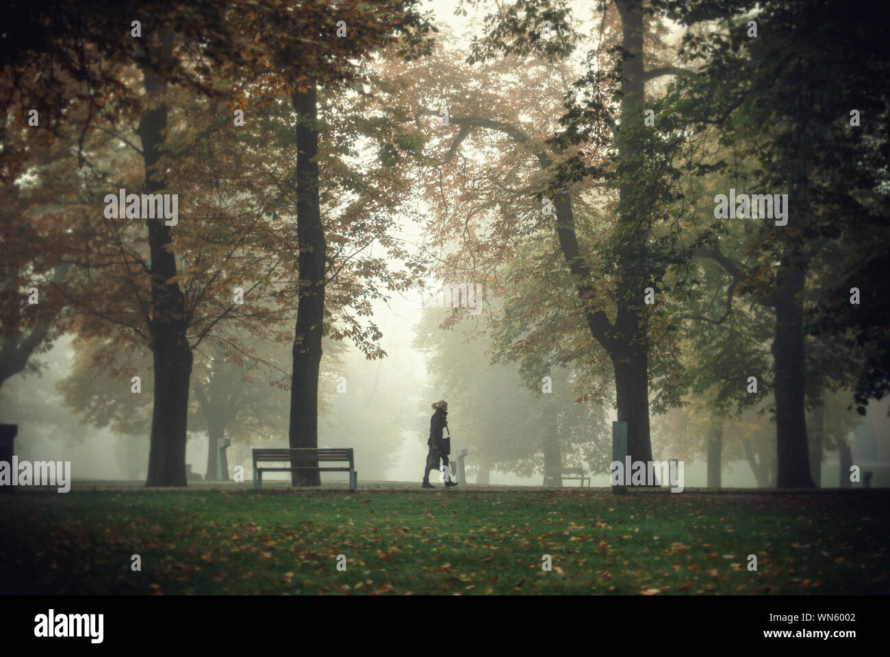 Side view person walking hi-res stock photography and images - Alamy